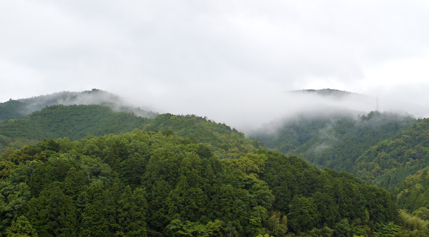 初夏に寂びを感じる – TANPRO.